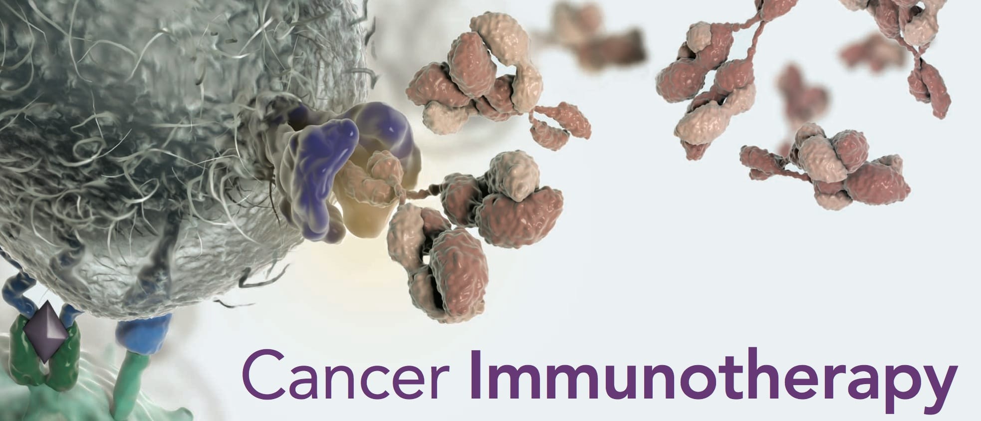 Cancer Treatment Immunotherapy